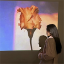 Ethereal Vibes - Scenery Projector Set – Cosmicbae